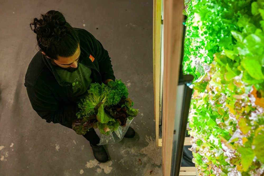 The only way is up: farmers who grow crops without soil or sun